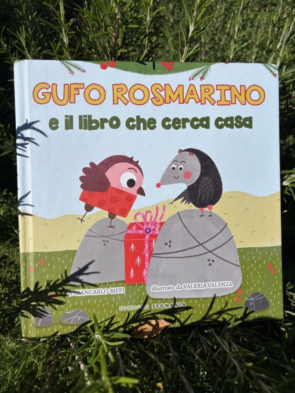 “Gufo Rosmarino e il libro che cerca casa” – Tuttestorie
